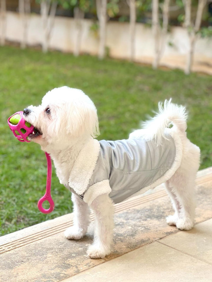 Spoiled Pets Eg